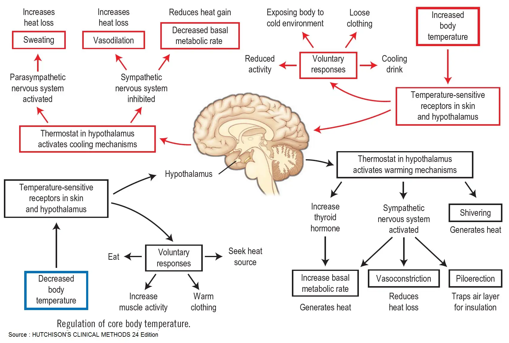 Discover the Secrets of Alpine Ice Hack Weight Loss