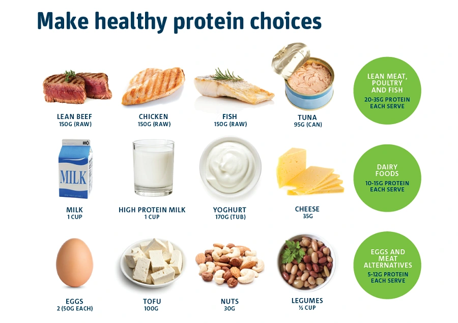 Top 8 Benefits of Using Premier Protein Ingredients in Your Diet