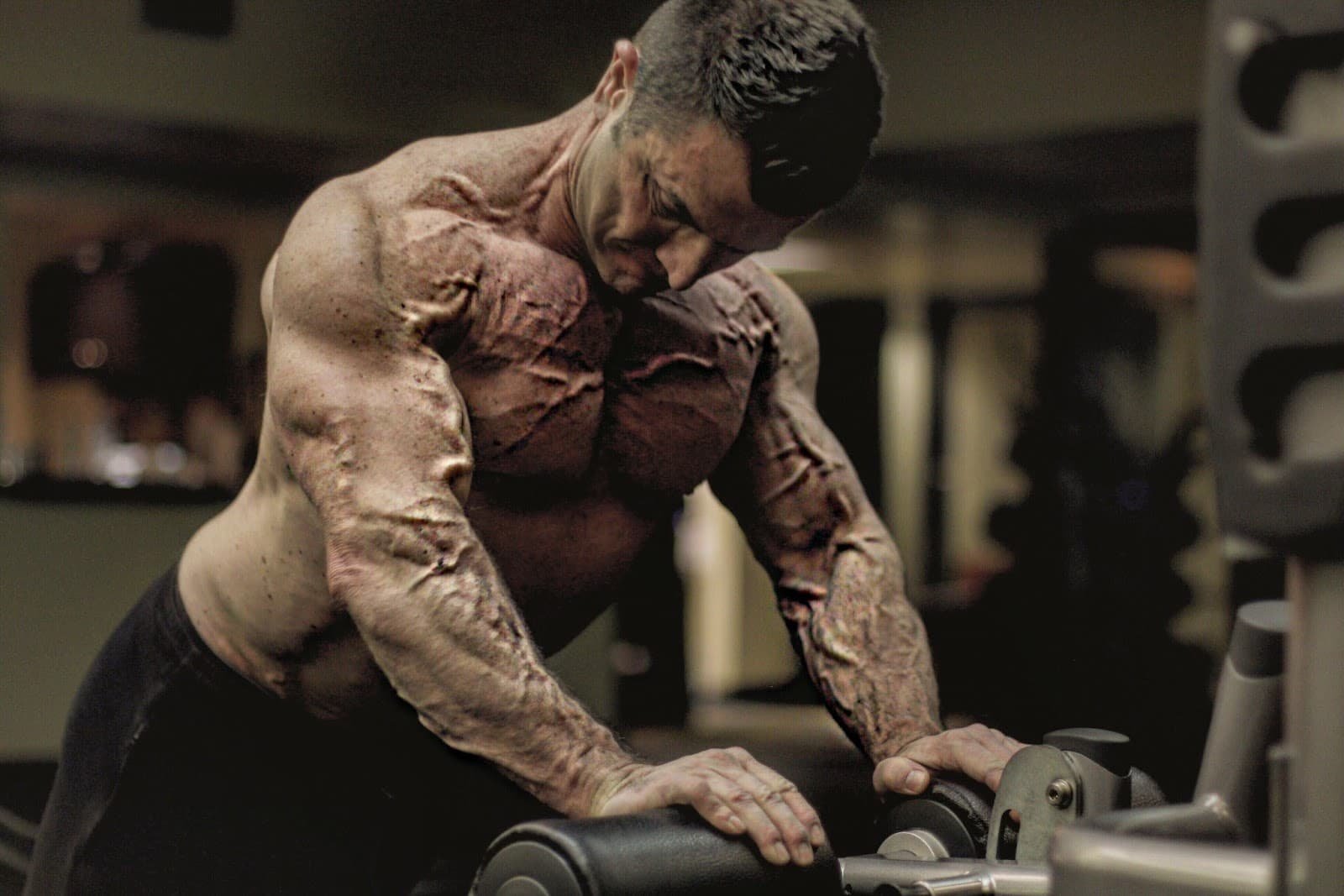 Bodybuilding vs Powerlifting: The Ultimate Comparison - Father Fitness Blog