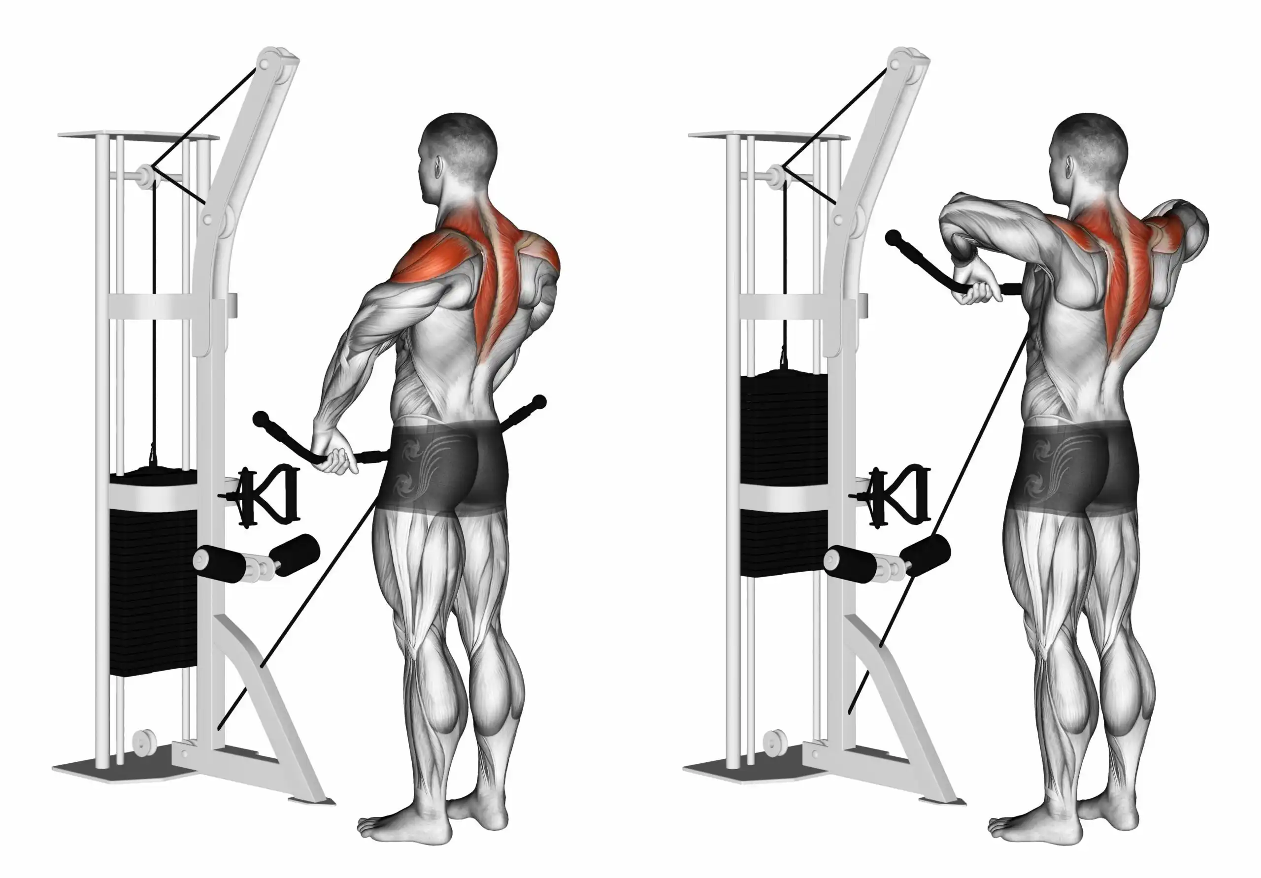 20 Enhance Your Fitness Routine with Single Arm Row Machine